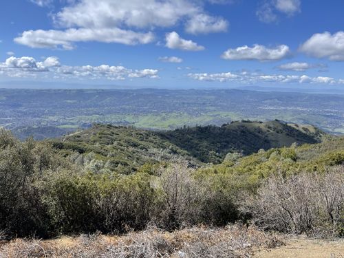 2023 Best Short Trails in Mount Diablo State Park | AllTrails