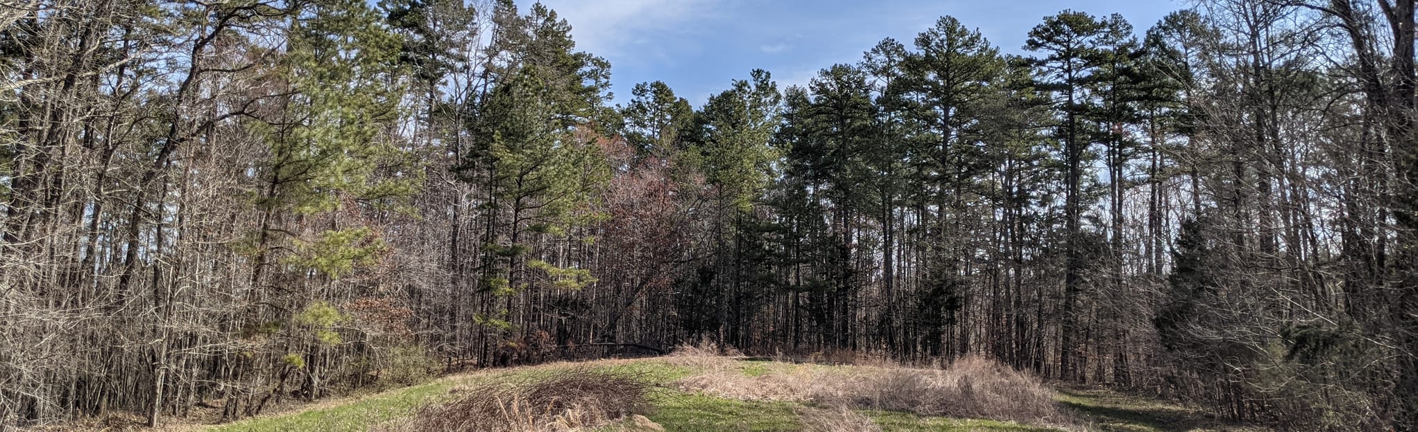 Crooked Run Trail, North Carolina - 39 Reviews, Map | AllTrails