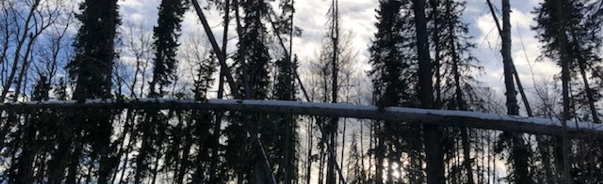 LPCF Raven Trail: 2 Reviews, Map - British Columbia, Canada | AllTrails