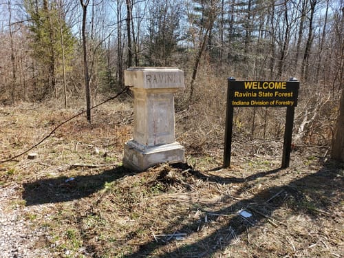Best Hikes and Trails in Ravinia State Forest | AllTrails