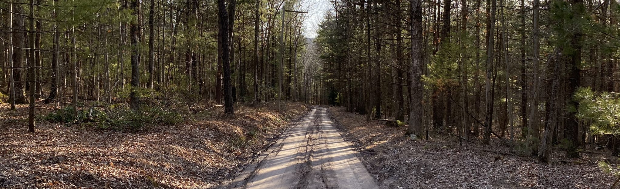 Raccoon Run Trail, Pennsylvania - 102 Reviews, Map | AllTrails