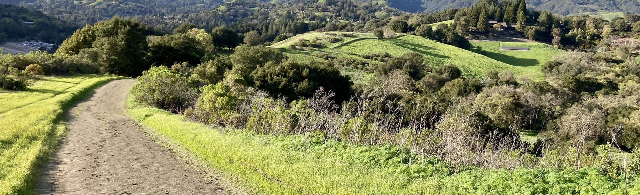 Lafayette Reservoir and Rim Trail Loop - California | AllTrails