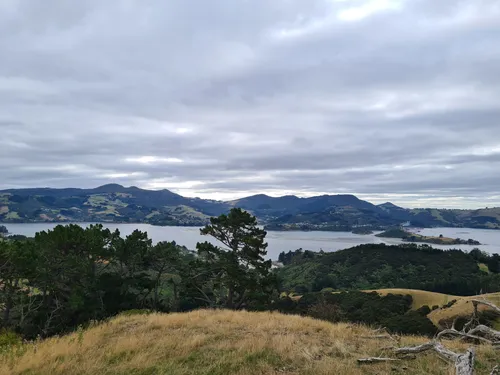 10 Best Trails and Hikes in Dunedin | AllTrails
