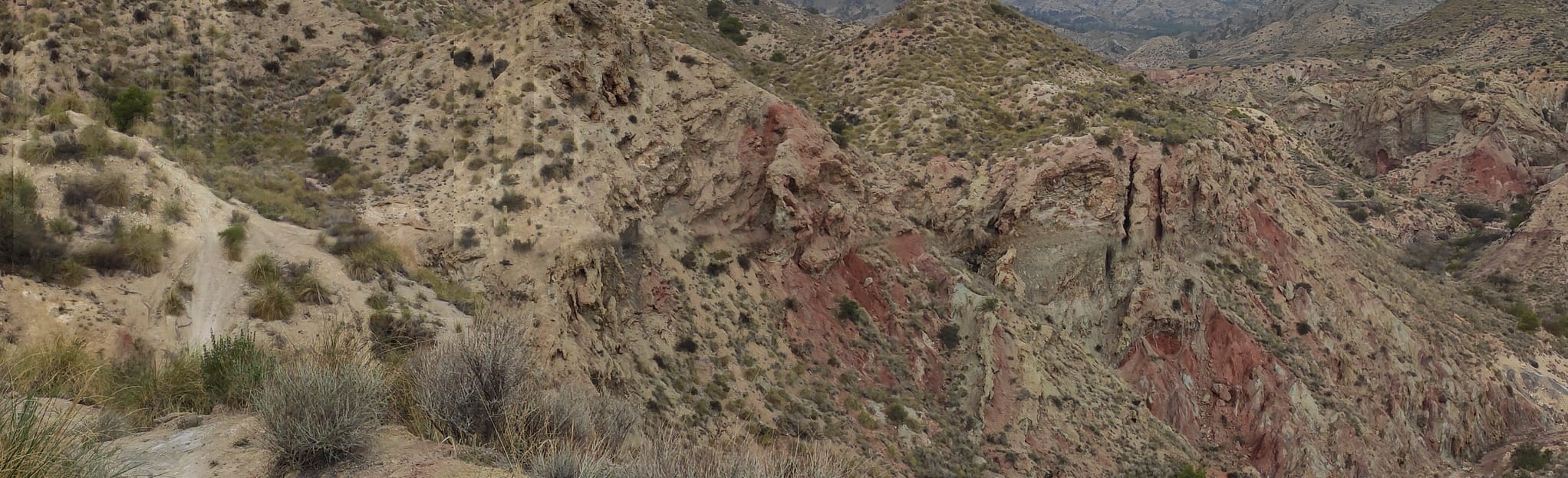 AllTrails | Montnegre - Mola de Bernat - Penya Foradada: 1 Reviews, Map ...