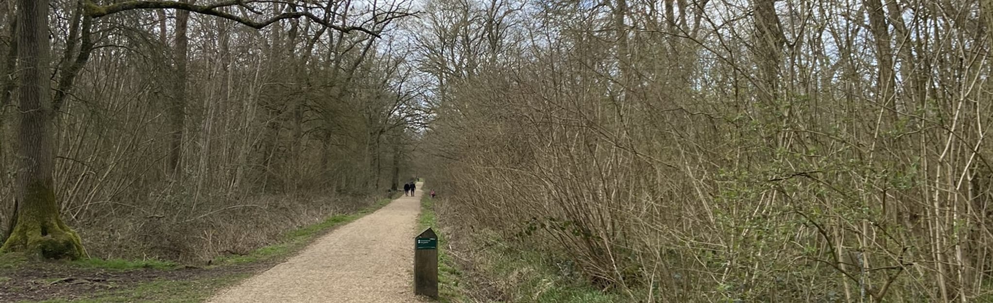 Howe Woods: 8 Reviews, Map - Buckinghamshire, England | AllTrails