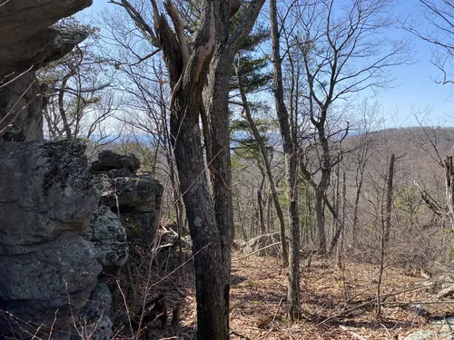 10 Best River Trails in Michaux State Forest | AllTrails