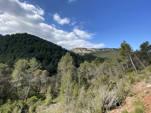 2023 Best Trails, Walks, and Paths in Auriol | AllTrails