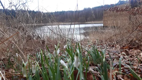 Best Hikes and Trails in Kuhlen-Wendorf | AllTrails