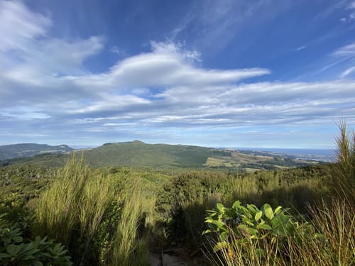 2023 Best 10 Views Trails in Waitati | AllTrails
