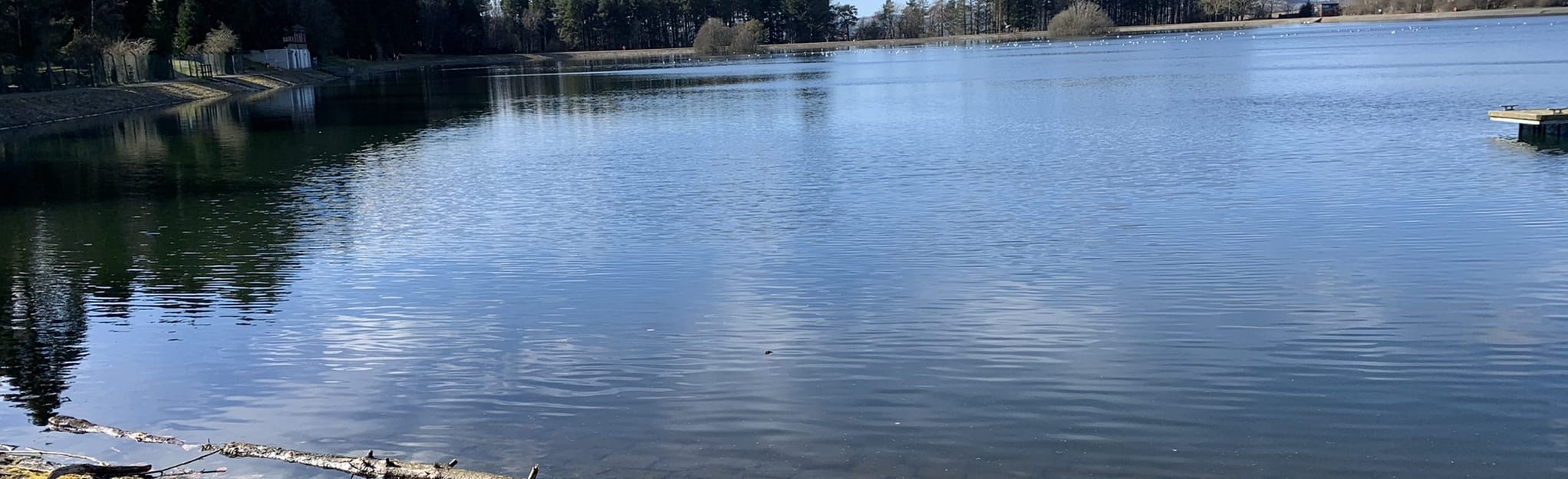 Clatto Reservoir, Dundee City, Scotland - 10 Reviews, Map | AllTrails