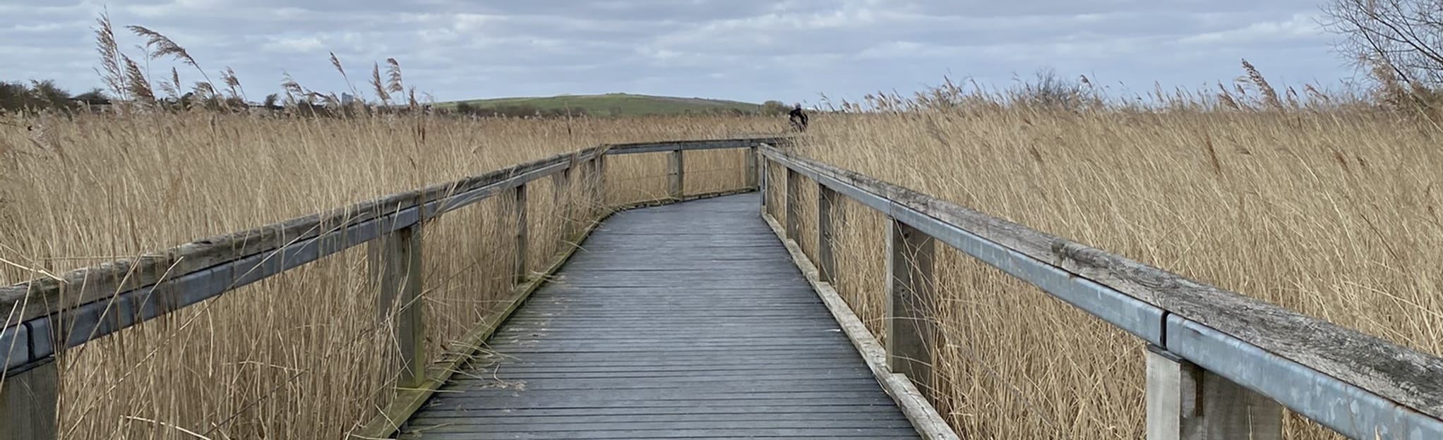 Rainham Marshes Circular, Essex, England - 3 Reviews, Map | AllTrails