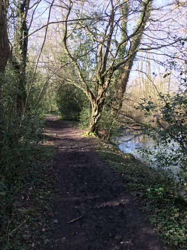 Best River Trails in Colne Valley Park | AllTrails