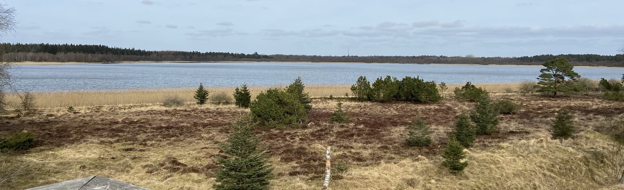 Søby Sø Rundt, Central Denmark, Denmark - 15 Reviews, Map | AllTrails