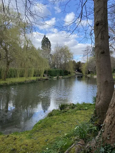 Best Hikes and Trails in Ashtead Common National Nature Reserve | AllTrails
