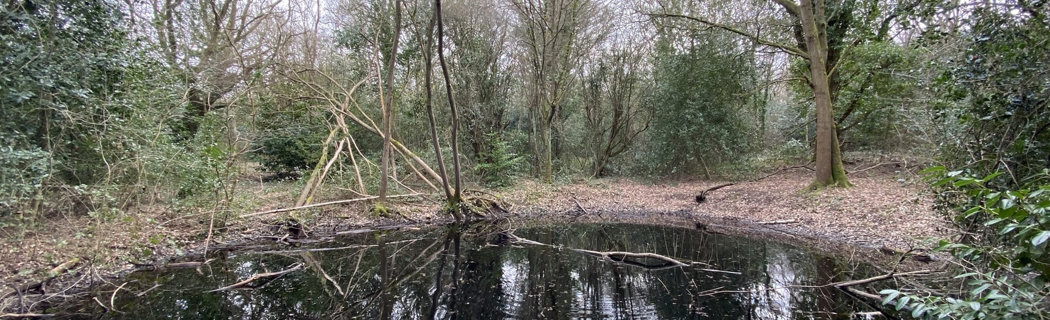 Hayes Common Walk | Map, Guide - London, England | AllTrails