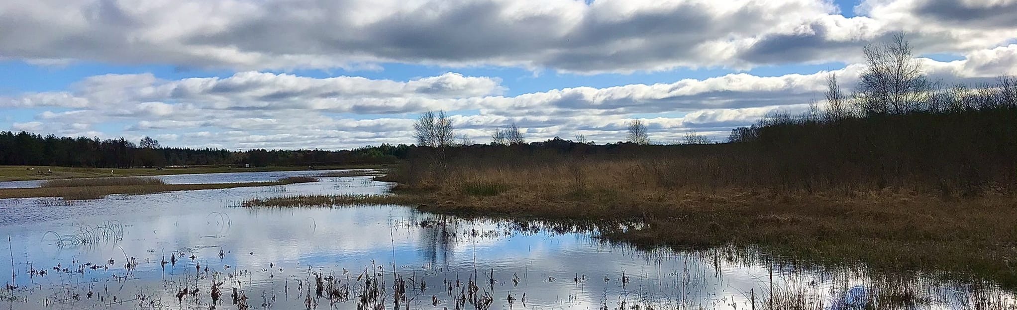 Derryounce Lake Walk, County Laois, Ireland - 31 Reviews, Map | AllTrails