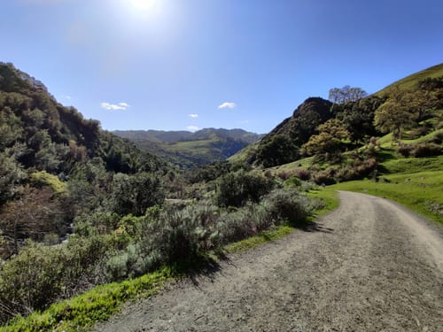 Best 10 Hikes and Trails in Sunol Wilderness Regional Preserve | AllTrails
