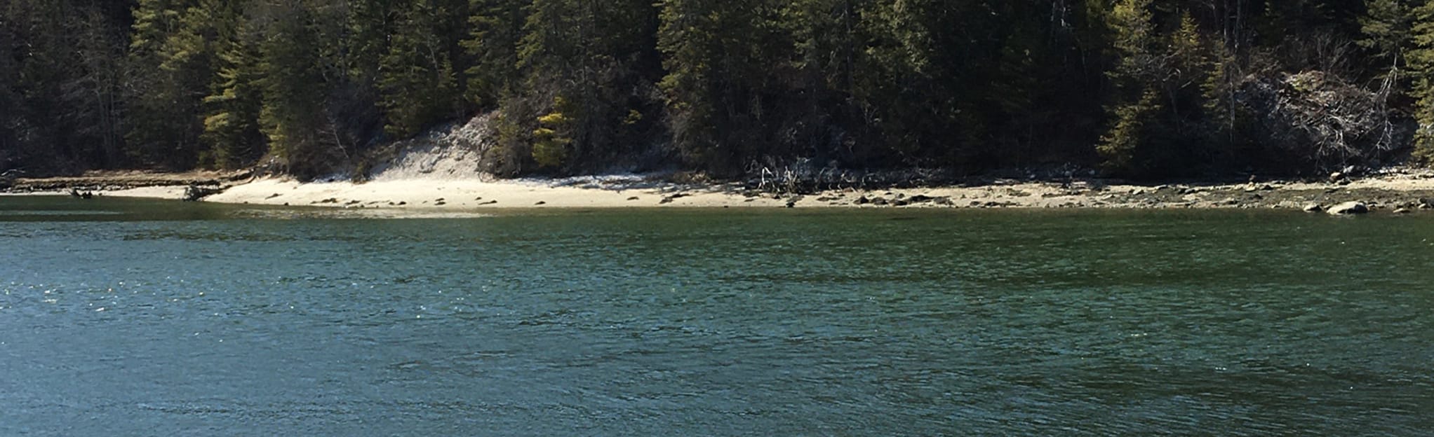 Whaleback Shell Midden Trail: 16 Reviews, Map - Maine | AllTrails
