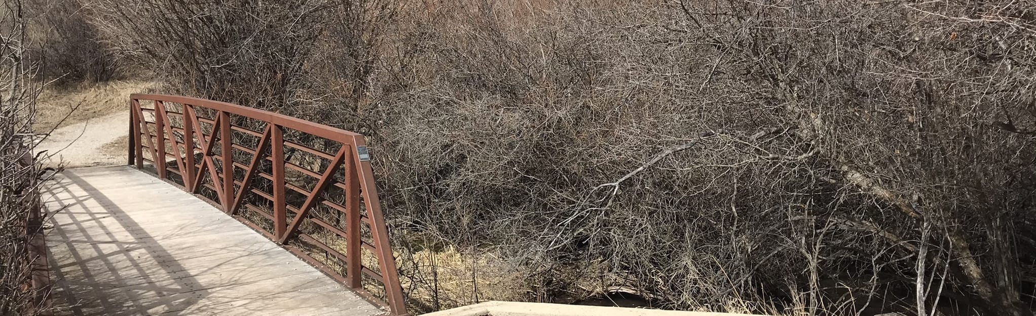 Fred Robinson Loop, Montana - 6 Reviews, Map | AllTrails