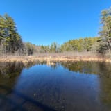 Beaver Brook Trail, Eastman Meadow Trail, and Maple Hill Ridge Loop ...