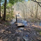 Beaver Brook Trail, Eastman Meadow Trail, and Maple Hill Ridge Loop ...