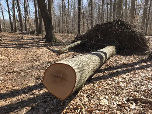 Best Hikes and Trails in Scotts Corner Conservation Area | AllTrails