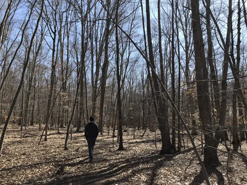 Best Hikes and Trails in Scotts Corner Conservation Area | AllTrails