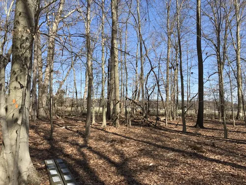 Best Hikes and Trails in Scotts Corner Conservation Area | AllTrails