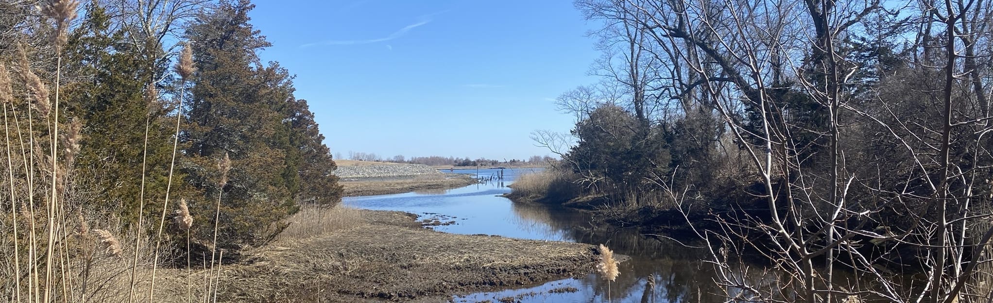 Quonset Point Bike Path, Rhode Island - 254 Reviews, Map | AllTrails