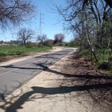 American River Bike Trail (Jedediah Smith Memorial Trail), California ...