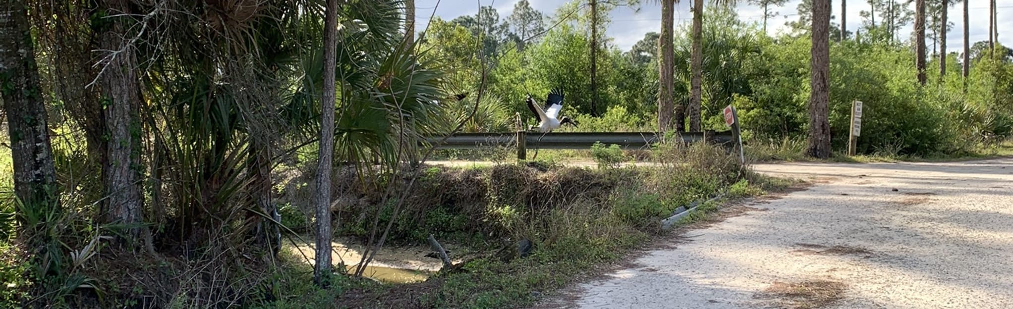 Babcock Ranch Eco Tour Trail - Florida | AllTrails