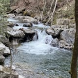 Coleman River Trail, Georgia - 120 Reviews, Map | AllTrails