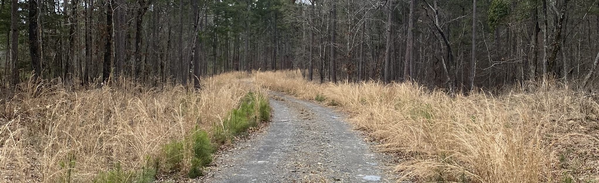 Bee Branch Trail Loop | Map, Guide - Oklahoma | AllTrails