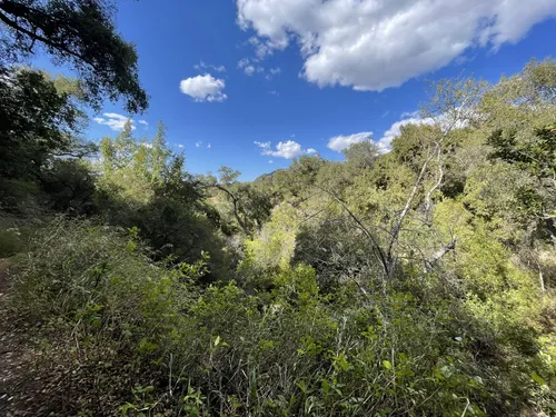 10 Best Forest Trails in Santa Monica Mountains National Recreation ...