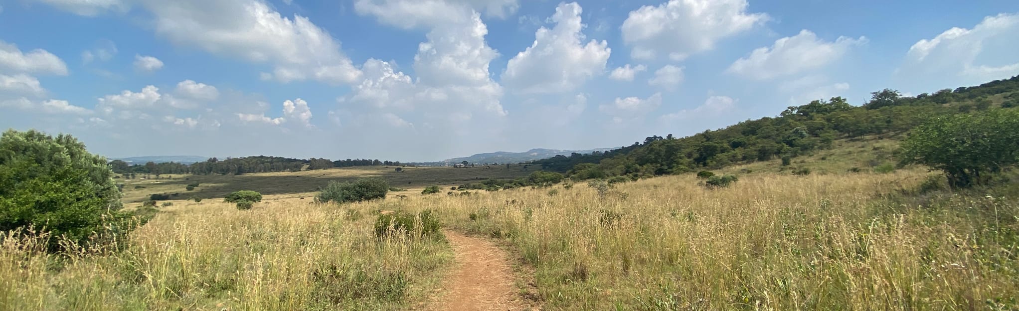 Thaba Service Track Trail: 4 Reviews, Map - Gauteng, South Africa ...