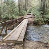 Appalachian Trail: Springer Mountain to Neels Gap, Georgia - 159 ...