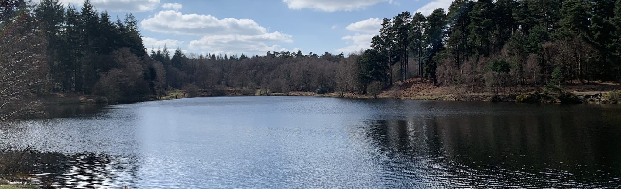 Ewshot Circular, Surrey, England - 68 Reviews, Map | AllTrails