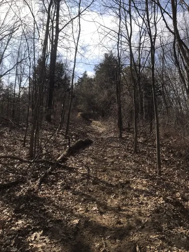 10 Best Hikes and Trails in Brighton State Recreation Area | AllTrails