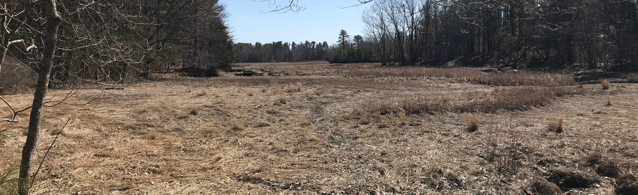 Near Point Trail: 15 Reviews, Map - Maine | AllTrails