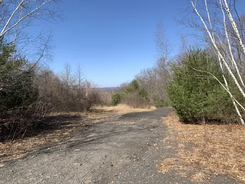 Best Hikes and Trails in Manchester Recreation Center | AllTrails