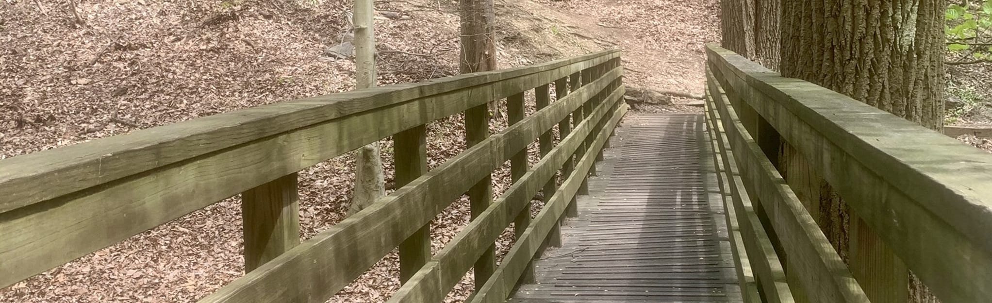 McKaig Nature Center Loop, Pennsylvania - 970 Reviews, Map | AllTrails