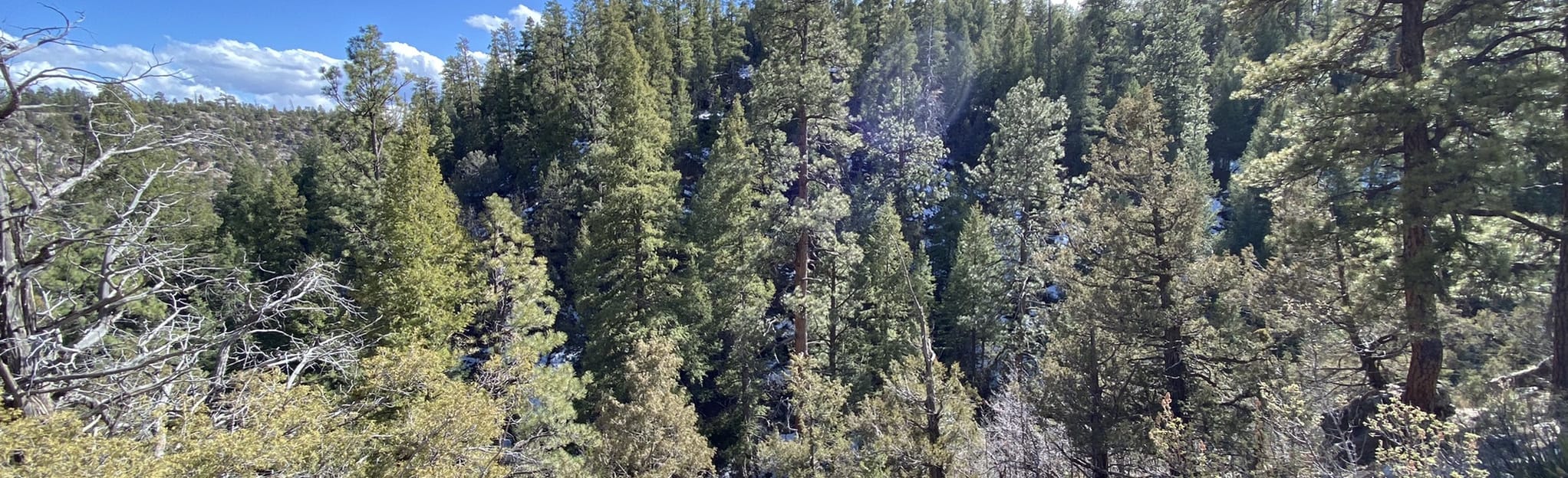 Walnut Creek via AZT Walnut Canyon Trail, Arizona - 348 Reviews, Map ...