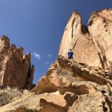 Timber Gulch, Oregon - 61 Reviews, Map | AllTrails