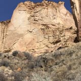 Timber Gulch, Oregon - 61 Reviews, Map | AllTrails