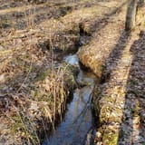 Tanbark Trail, Pennsylvania - 141 Reviews, Map | AllTrails