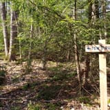 Tanbark Trail, Pennsylvania - 141 Reviews, Map | AllTrails