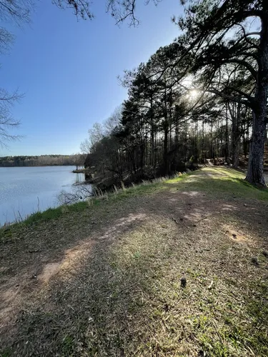 Best Hikes and Trails in Charlie Elliott Wildlife Center | AllTrails