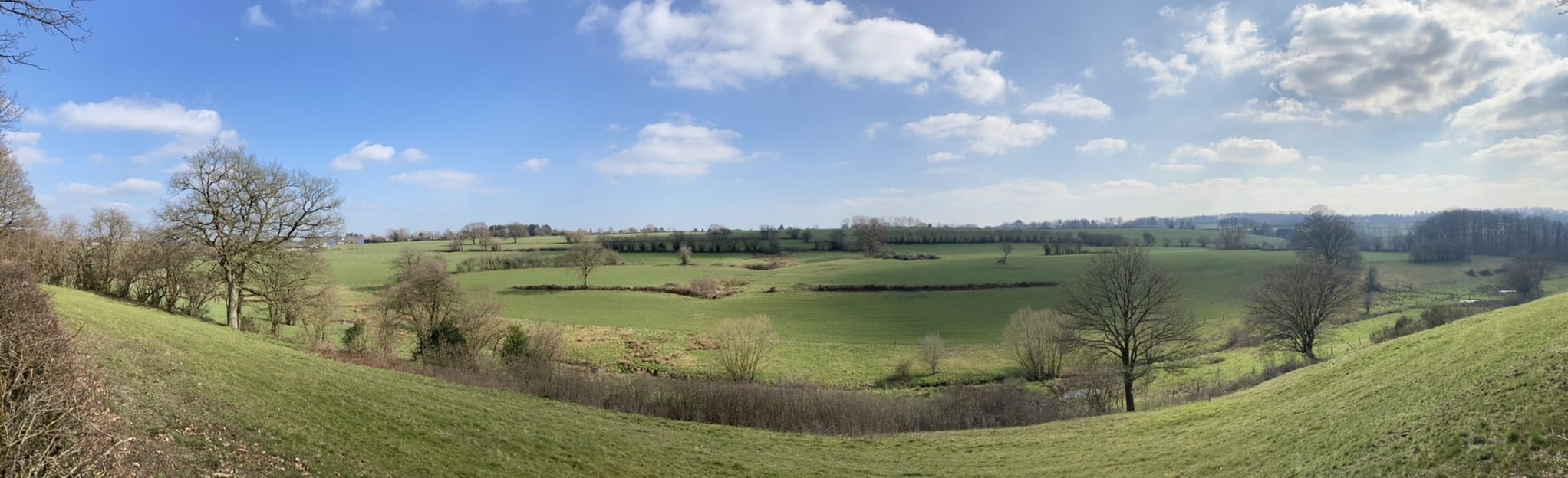 Jalhay Trail Run Blue: 6 Reviews, Map - Liège, Belgium | AllTrails