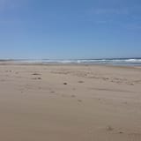 Kehoe Beach Trail, California - 270 Reviews, Map | AllTrails