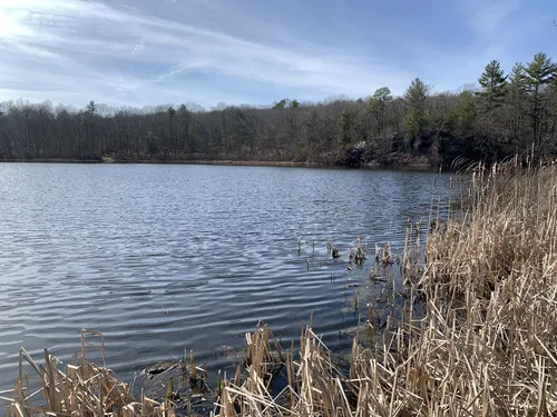 Best Hikes and Trails in Bolton Notch State Park | AllTrails